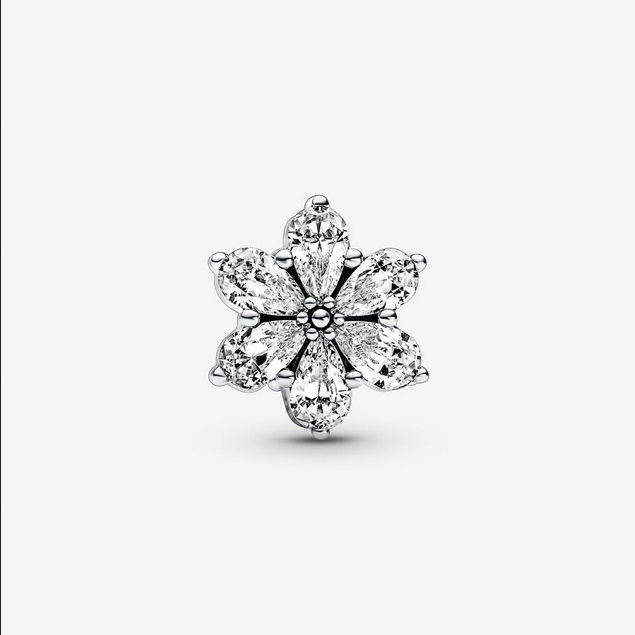 Charm Herbario Brillante 792623C01 – Joyería acebo – Joyerías en León